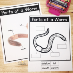 Try These Free Earthworm Activities with Your Class Today! - Natalie ...