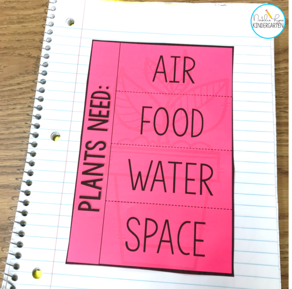 Living and Nonliving Things Activities for Kindergarten or 1st Grade ...