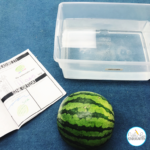 Watermelon Activities Perfect for a Watermelon Day! - Natalie Lynn ...