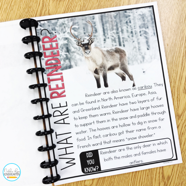 Reindeer Activities - Natalie Lynn Kindergarten
