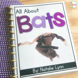 Bat Week Activities and Crafts for Kindergarten and 1st Grade