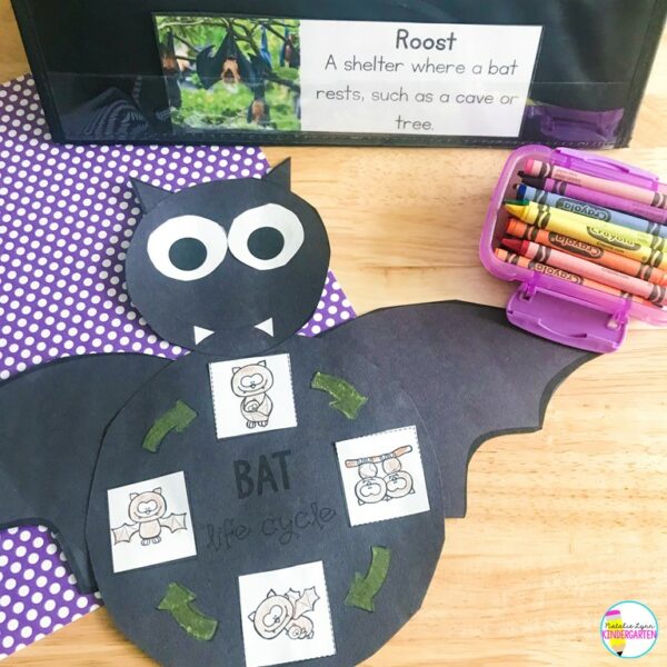Bat Week Activities and Crafts for Kindergarten and 1st Grade