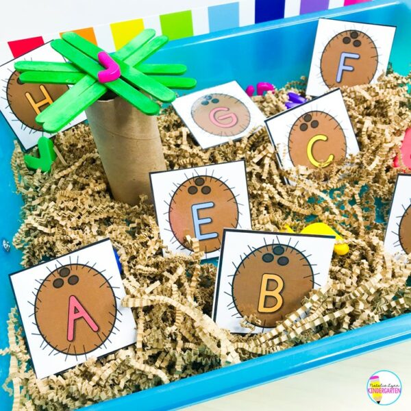 How To Use Sensory Bins in Kindergarten - Natalie Lynn Kindergarten