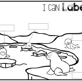 Arctic Animals Writing Center - Natalie Lynn Kindergarten