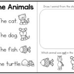 Kindergarten Guided Reading Leveled Passages | Reading Comprehension ...