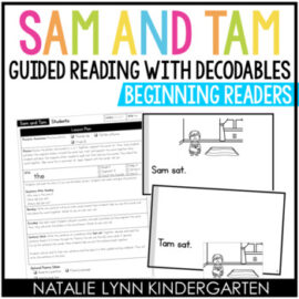 Sam and Tam Decodable Book | Beginning Readers | Guided Reading with ...