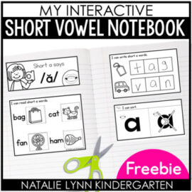 CVC Words Interactive Reader | Short A Mini Book - Natalie Lynn ...