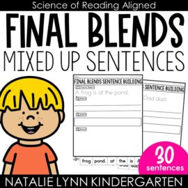 Valentine Decodable Readers | CVC Digraphs Beginning Blends CVCe Words