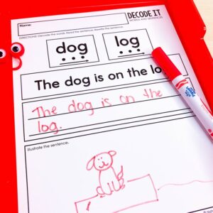 CVC Words Decode and Read Decodable Sentences Worksheets