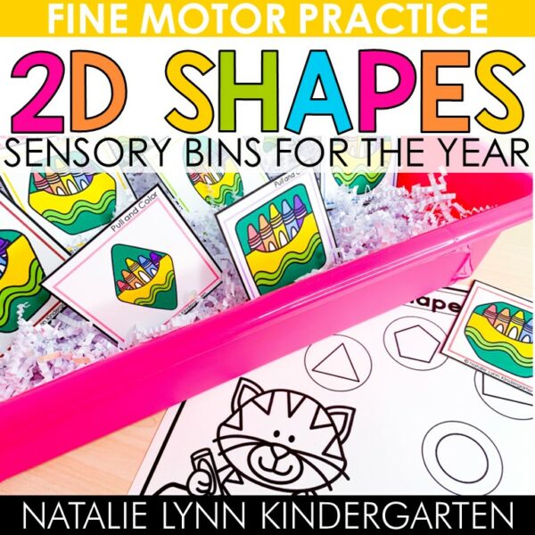 2D Shape Sensory Bins Preschool Pre-k + Kindergarten Math Centers for ...