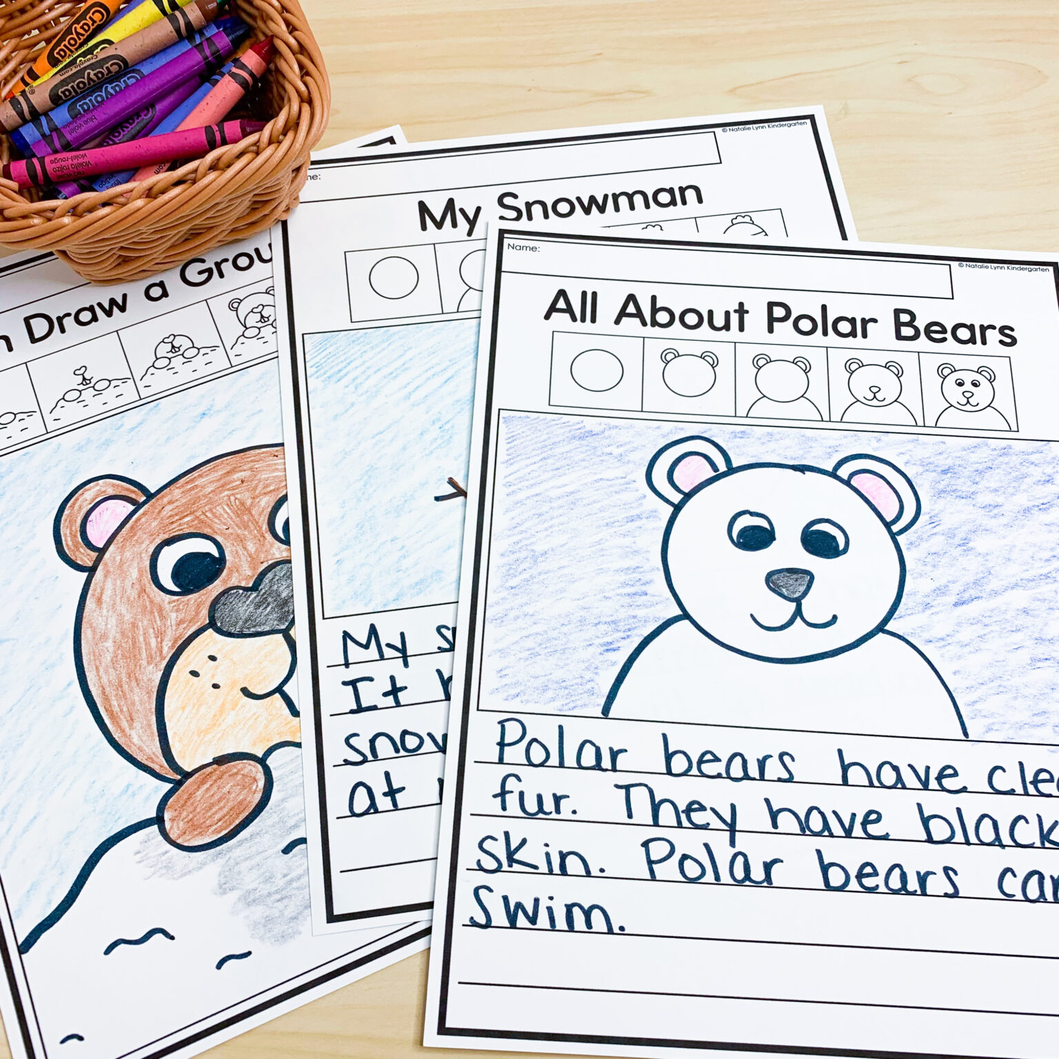 Winter Directed Drawing - Natalie Lynn Kindergarten